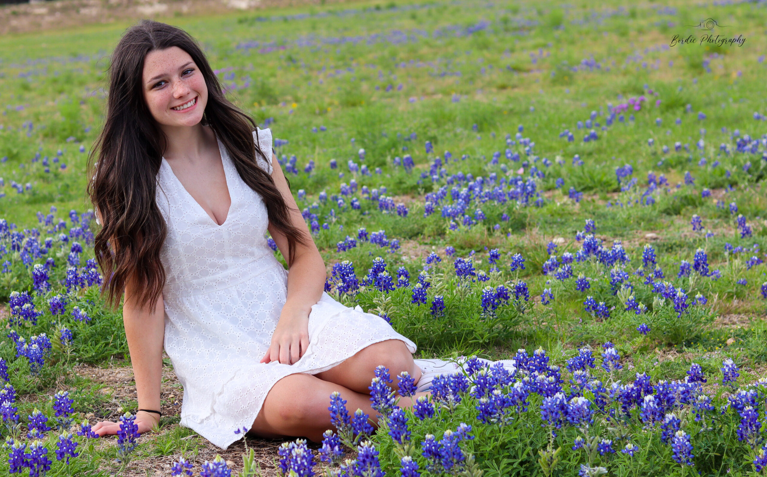 The Williamson Family Tree - Bordic Photography