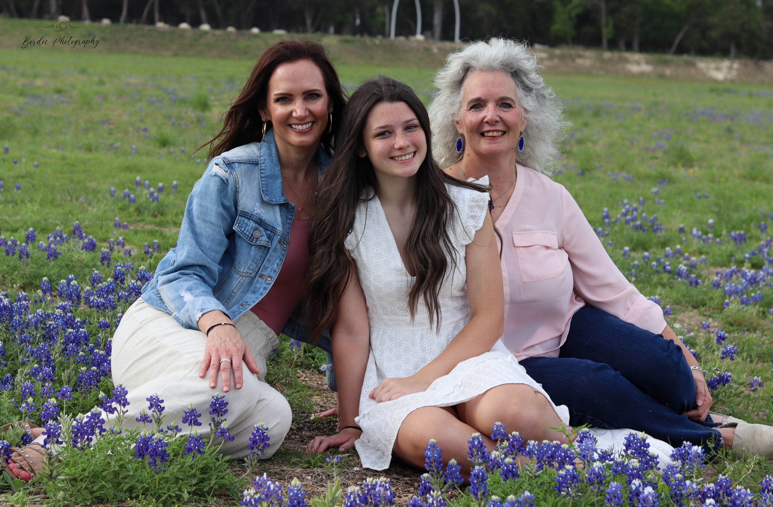 The Williamson Family Tree - Bordic Photography